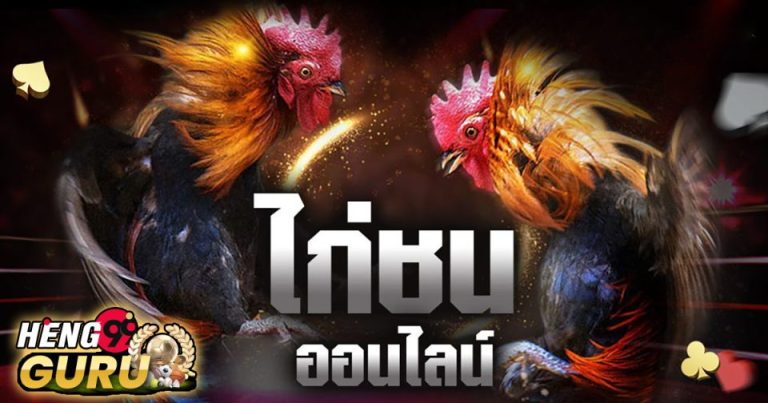 เกมไก่ชน ออนไลน์ เกมกีฬาพื้นบ้าน ที่ได้รับความนิยมเป็นอย่างมากในไทย